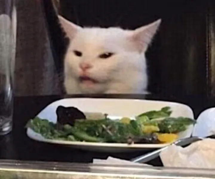 El día mundial del gato: porque alguien tiene que ser el dueño de la casa